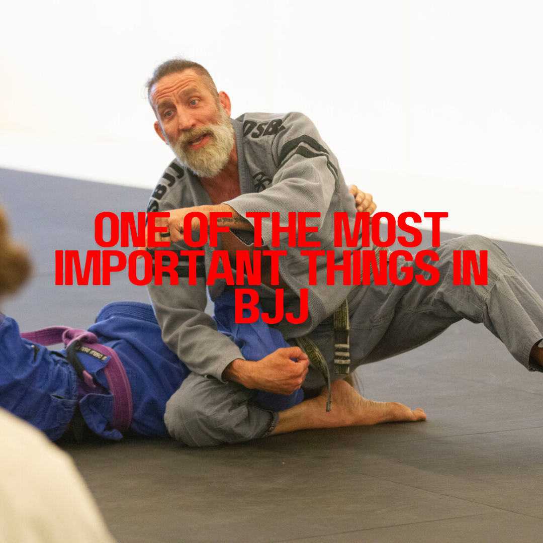 One of the most important things in BJJ | Danny Savery BJJ & Martial ...